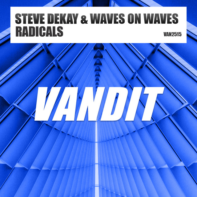 Waves_On_Waves x Steve Dekay – Radicals – Parkett